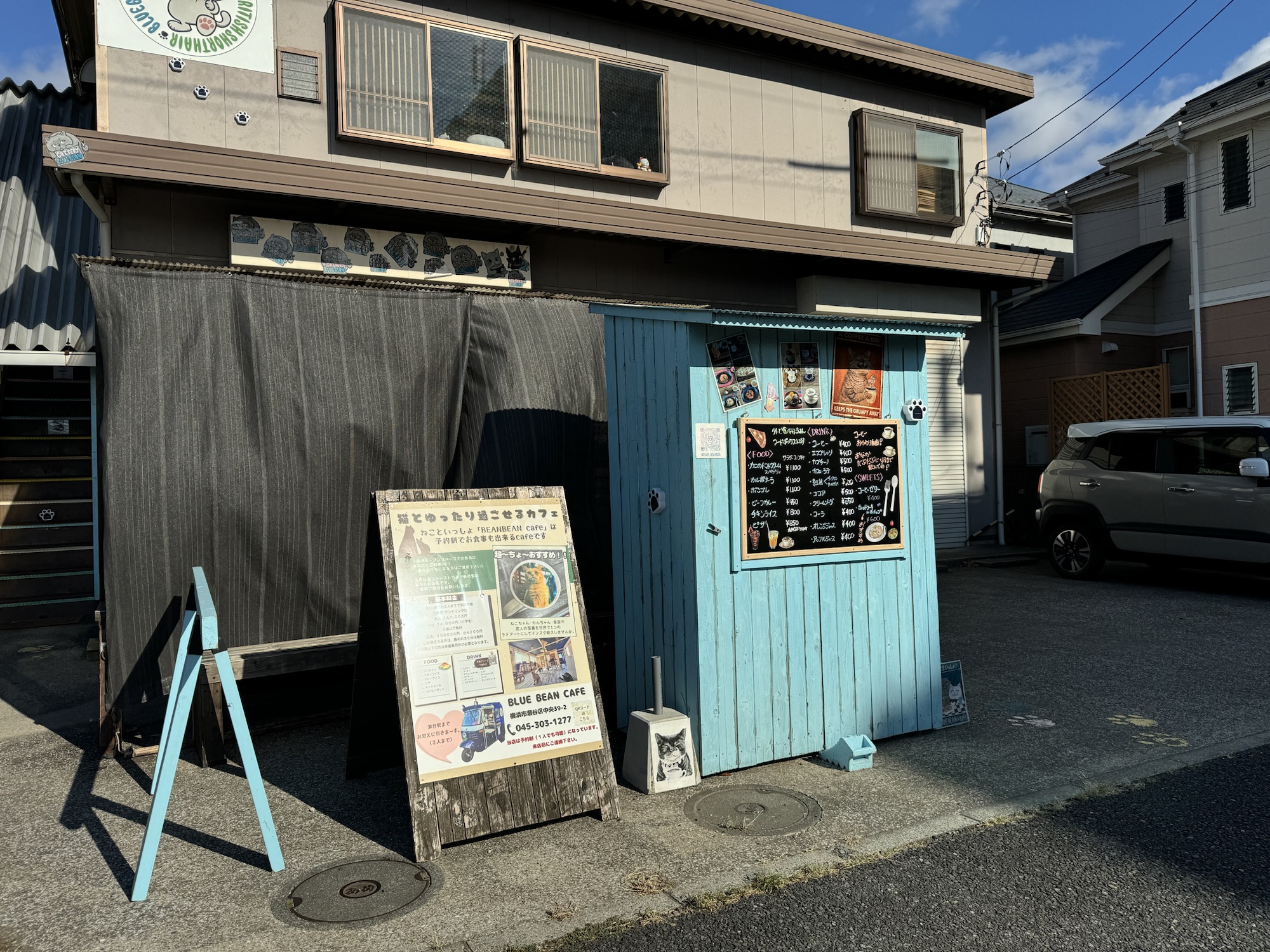 瀬谷｜猫カフェ「BLUE BEAN cafe」ブリティッシュショートヘア専門のお店｜瀬谷なび